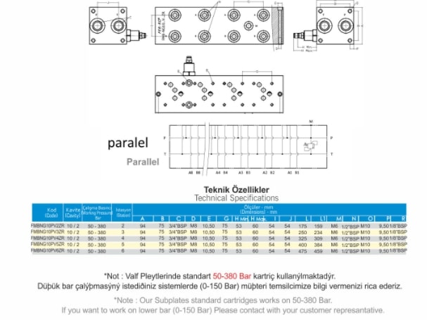 FER-RO NG10 2Lİ 80 LT PARALEL VALF PLEYT EMNİYETLİ FMBNG10PV2ZR ...